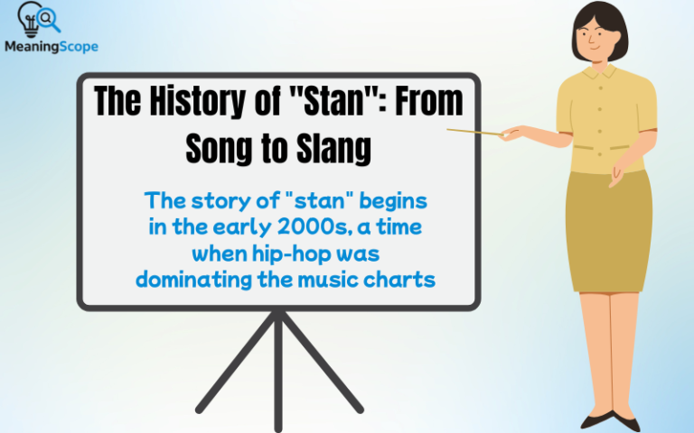 What Does Stan Mean? Uses, History, Meaning And All Info - meaningscope.com