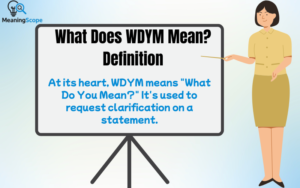 What Does WDYM Mean? Meaning, History, Uses & More - meaningscope.com