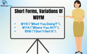 What Does WDYM Mean? Meaning, History, Uses & More - meaningscope.com