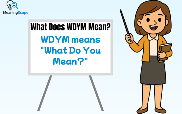 What Does WDYM Mean? Meaning, History, Uses & More - meaningscope.com